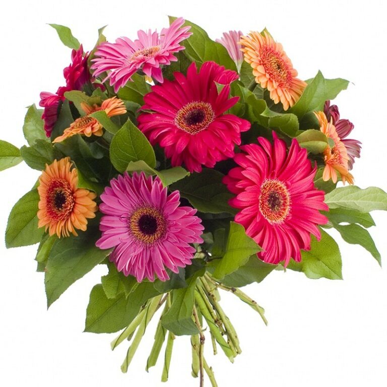 bouquet de gerberas - La Jardinera