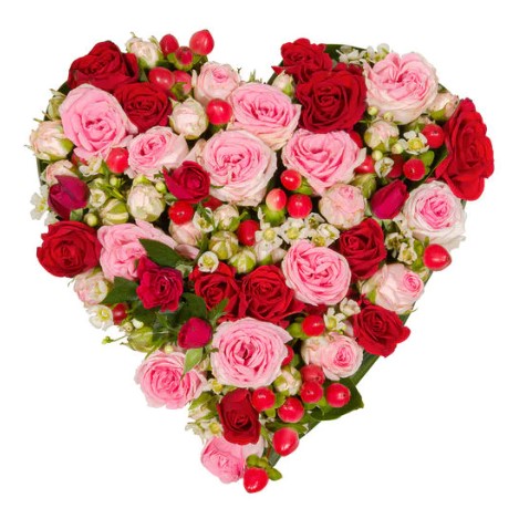 Cœur de rose - La Jardinera